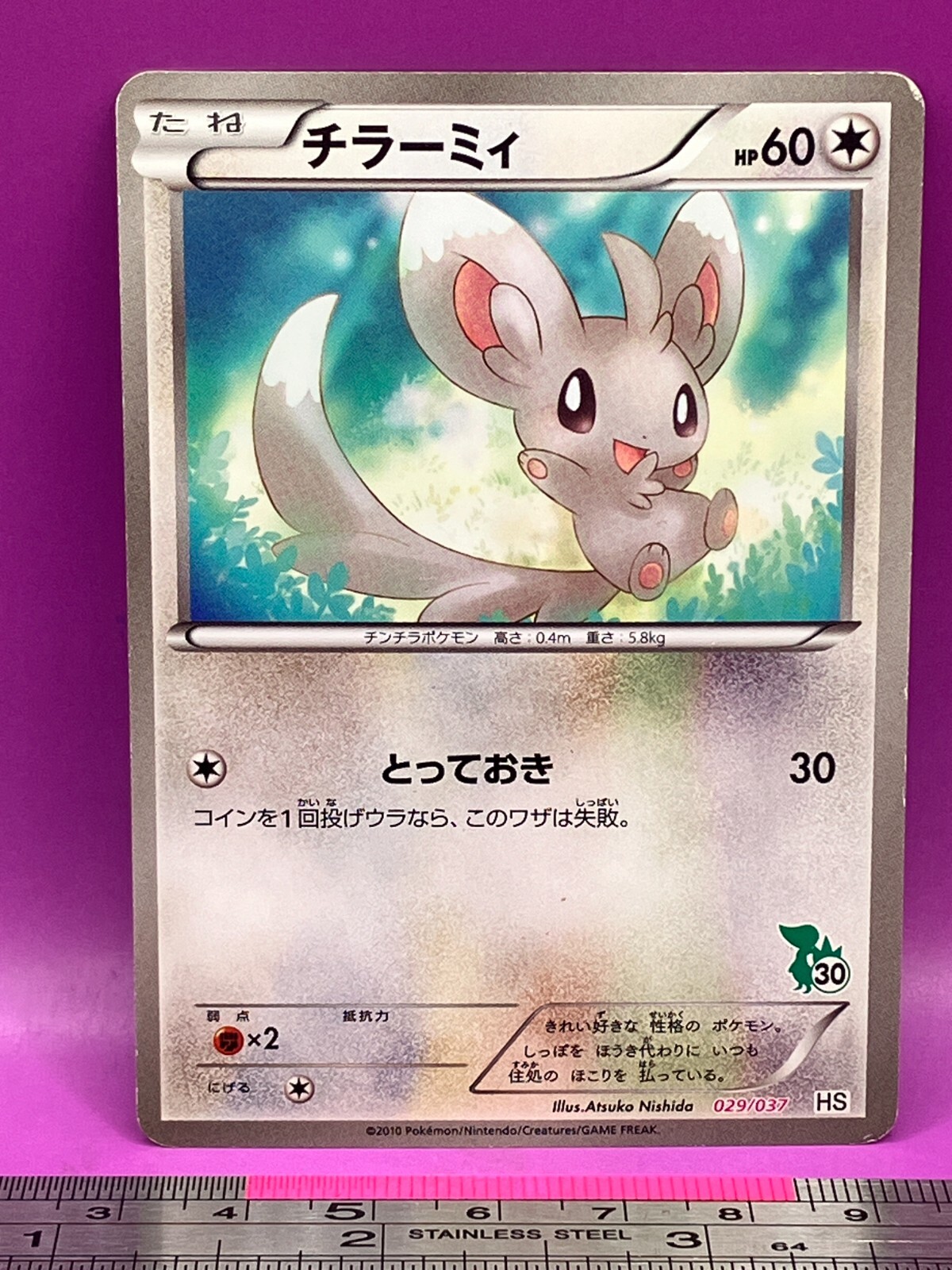 Minccino Pokemon Card 029/037 HS 2010 Nintendo TCG Japanese #876 | eBay