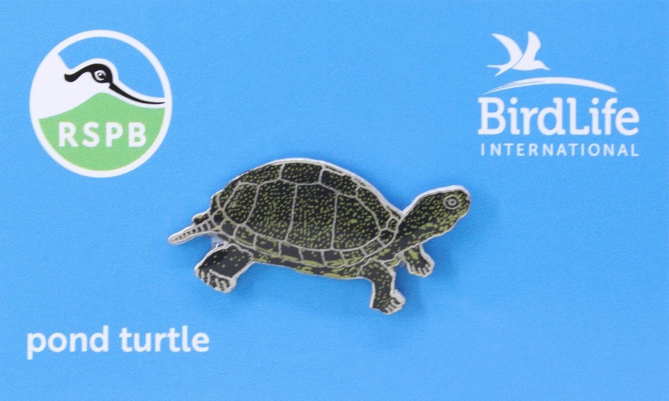 RSPB Pin Badge Bird Life International NIIC Pond Turtle P03217 | eBay UK