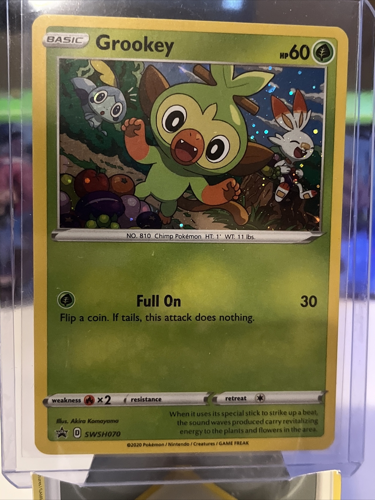 Pokémon TCG Grookey SWSH Black Star Promos SWSH070 Holo Promo NM | eBay