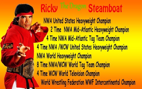 fridge refrigerator magnet 3.5x5 80's msg classic pro wrestling ricky ...