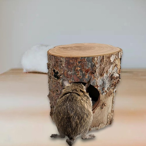 Kleintier-Versteck Aus Holz Für Hamster, Chinchilla-Ratten Und | eBay.de