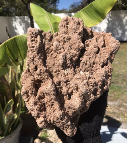Rare large 3 Lbs Fulgurite Lightning Stone Florida 3 Pounds XL Rough ...