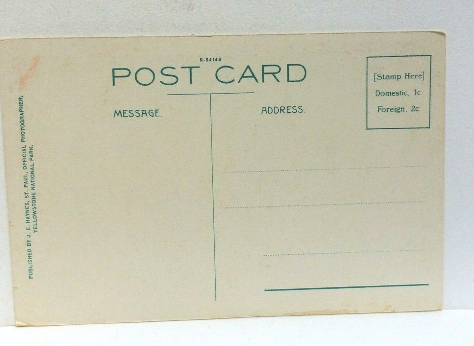 Yellowstone Park Wyoming WY Upright Twin Cub Bears Vintage Postcard | eBay