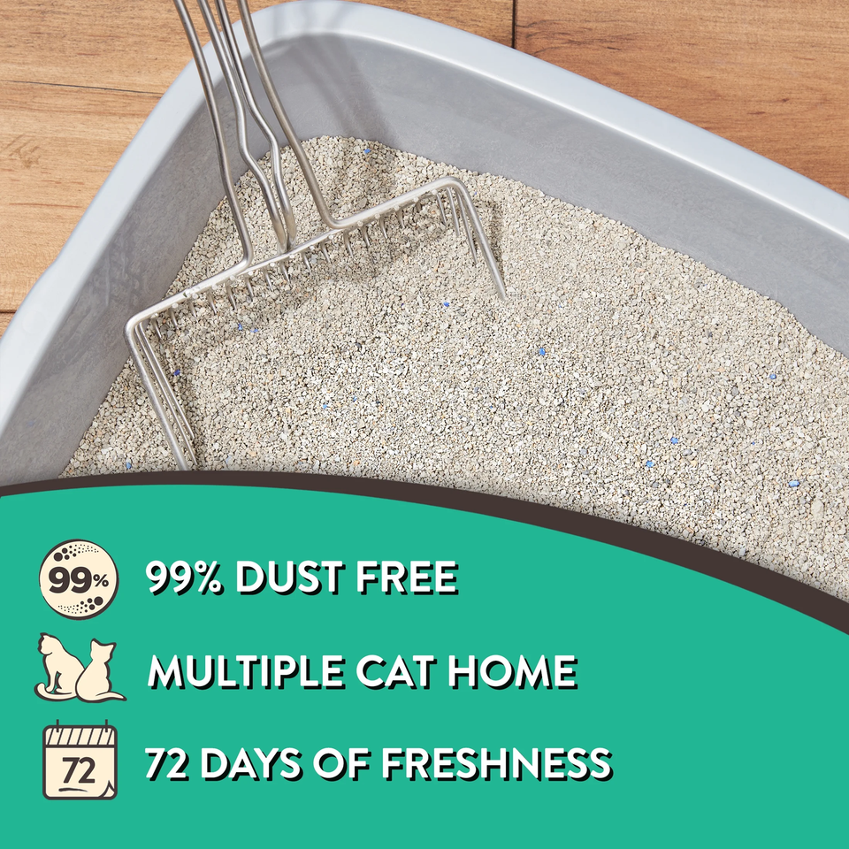 Scoopable Tight Clumping Cat Litter, Fresh Scent, 40 Lb | eBay