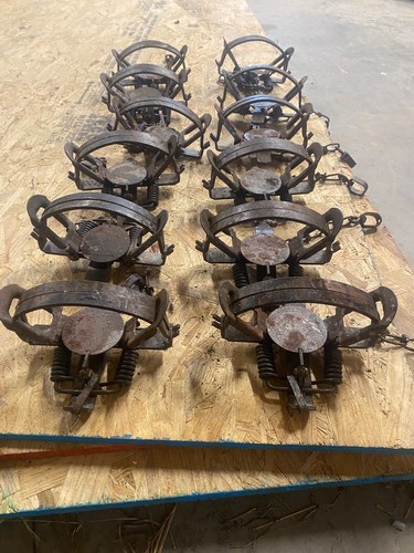 Dozen oneida victor #4 coil spring traps | eBay