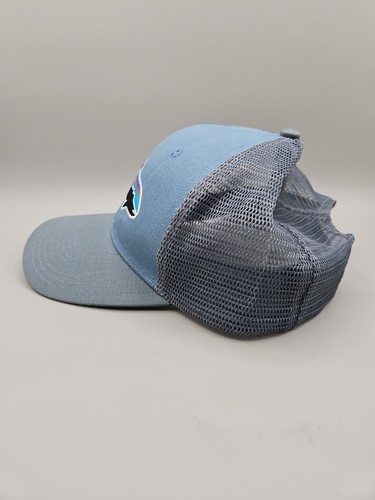 Patagonia Fitz Roy Trout Patch Snap Back Hat Cap Blue Trucker ...