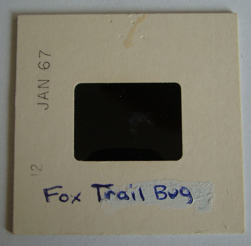 1967 FOX Trail Bug Minibike Slide Photo Doodlebug mini bike | eBay