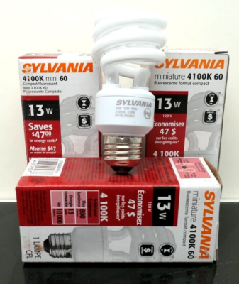Fluorescent Lamp Formats 13 In