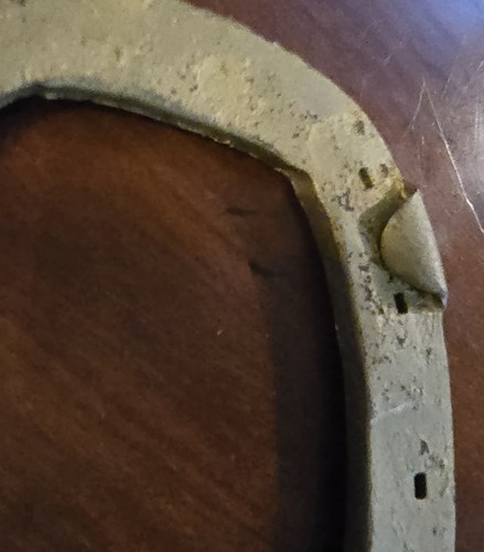 6" Retired Good Luck Golden Spray Decorative Horse Shoe Decor Country ...