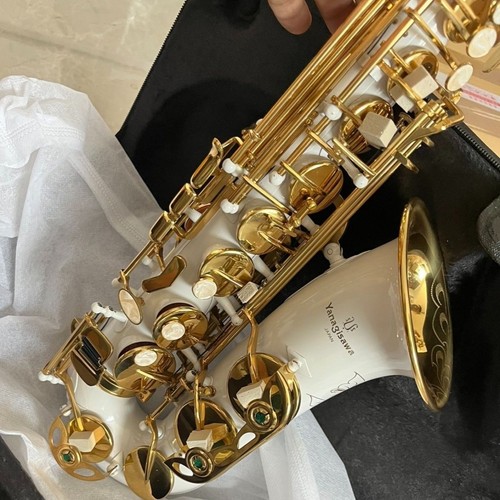 Alto Saxophone White Painted Saxophone Professional Performance ...