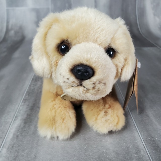 Golden Lab 8 Inch Miyoni Dog Puppy Stuffed Animal by Aurora Plush 10801 ...