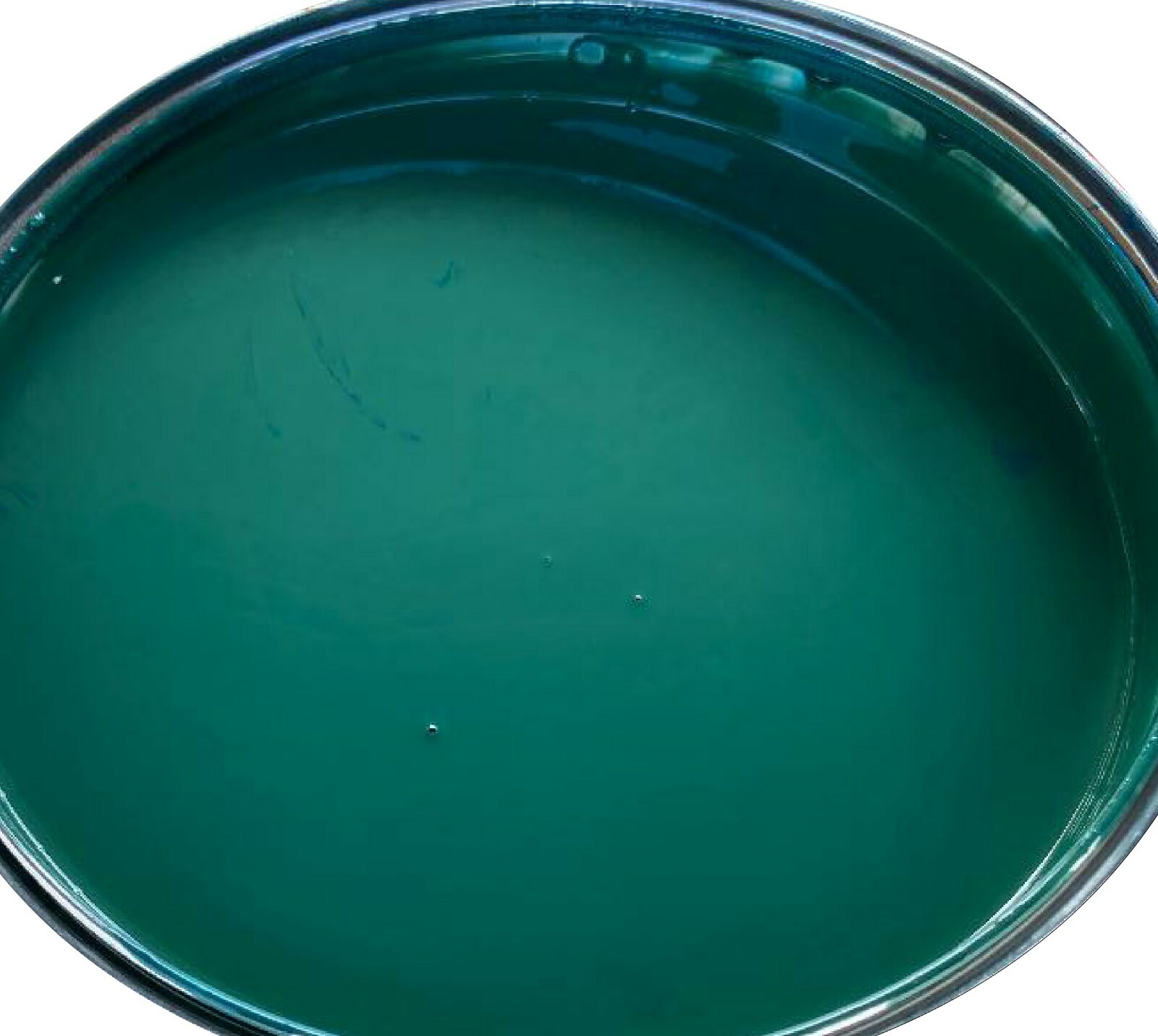 British Racing Green Gloss Paint 5L for Metal Wood Masonry floor fence ...