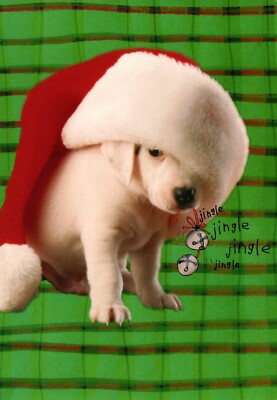 Funny Merry Christmas Yellow Lab Puppy Bah Humbug Jingle Bells Hallmark ...