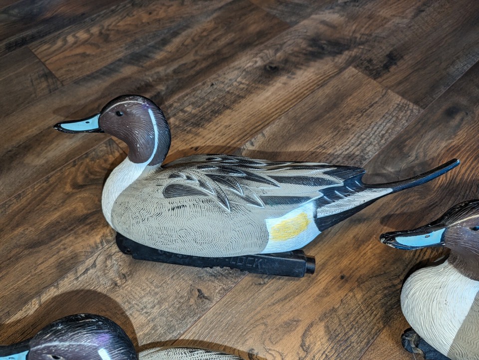 Avery GHG Greenhead Gear, Life Size Pintail Drake Duck Decoys Set of 4 ...