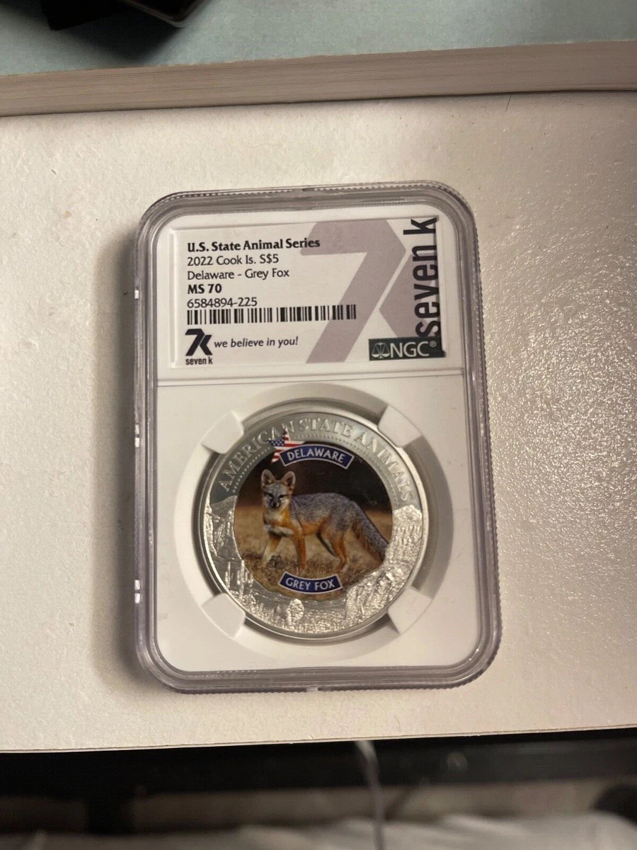 Delaware State Animal Grey Fox