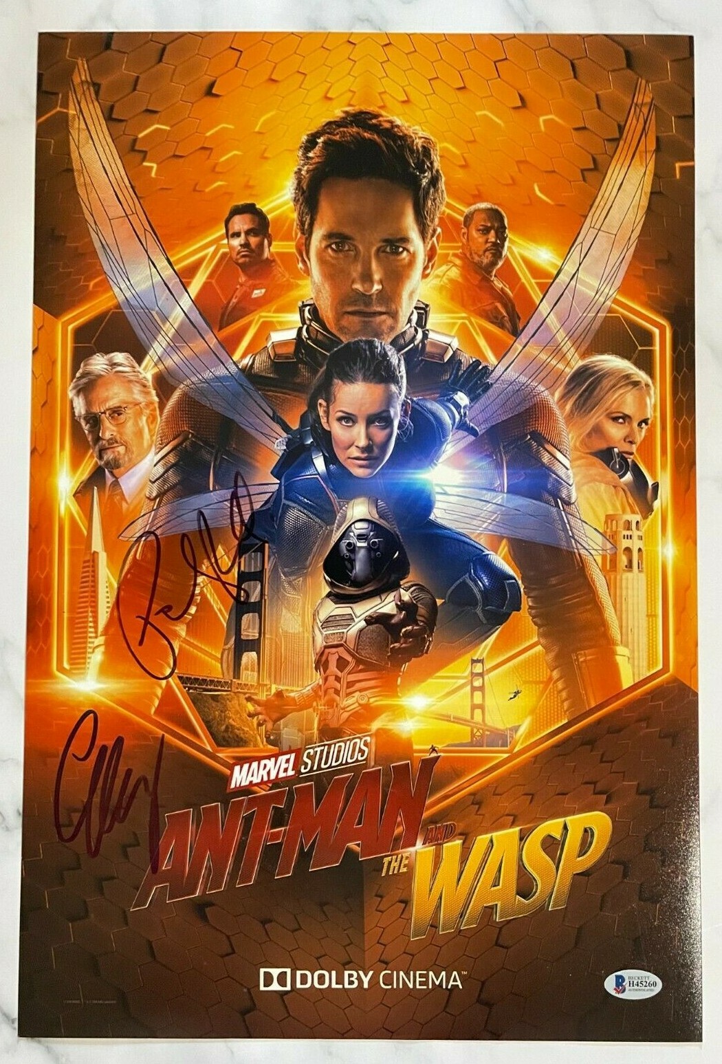 Ant-man and The Wasp signed autograph 12x18 photo Lilly Rudd MARVEL ...