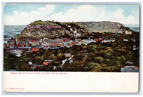 c1905 Barn Bluff & View Of Red Wing Building Grove Minnesota MN Antique ...
