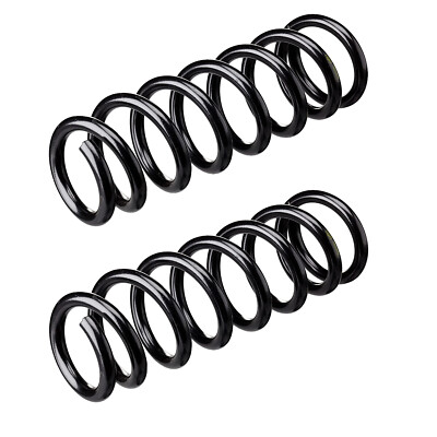 Lesjofors Set of Rear Left & Right Coil Springs For Mitsubishi ...