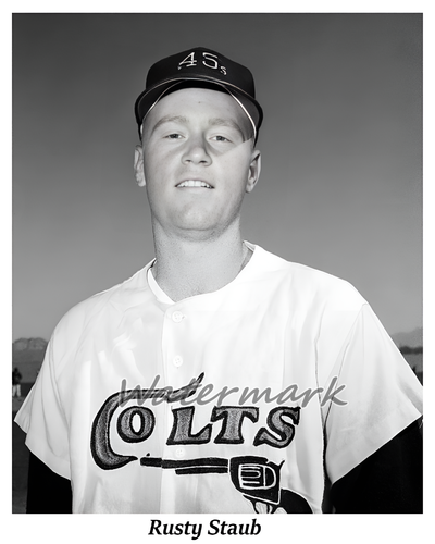MLB 1962 Houston Colt 45's Rookie Rusty Staub Black & White 8 X 10 ...