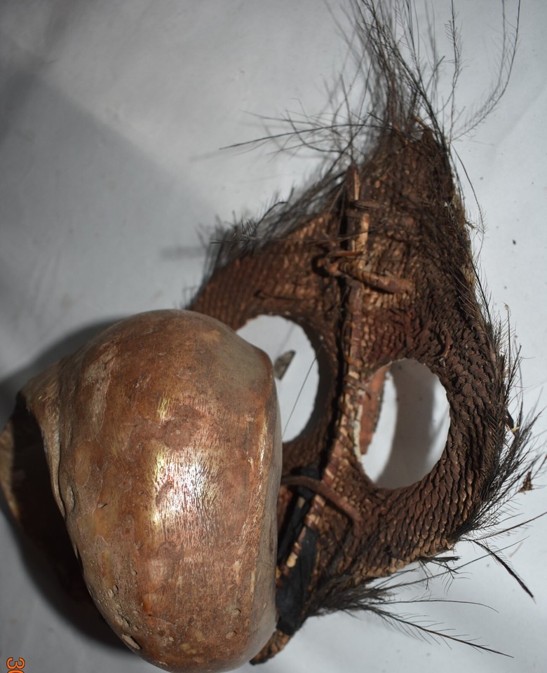PAPUA NEW GUINEA SEPIK TALIPUN MASK, SHELL 8" 1900S | eBay