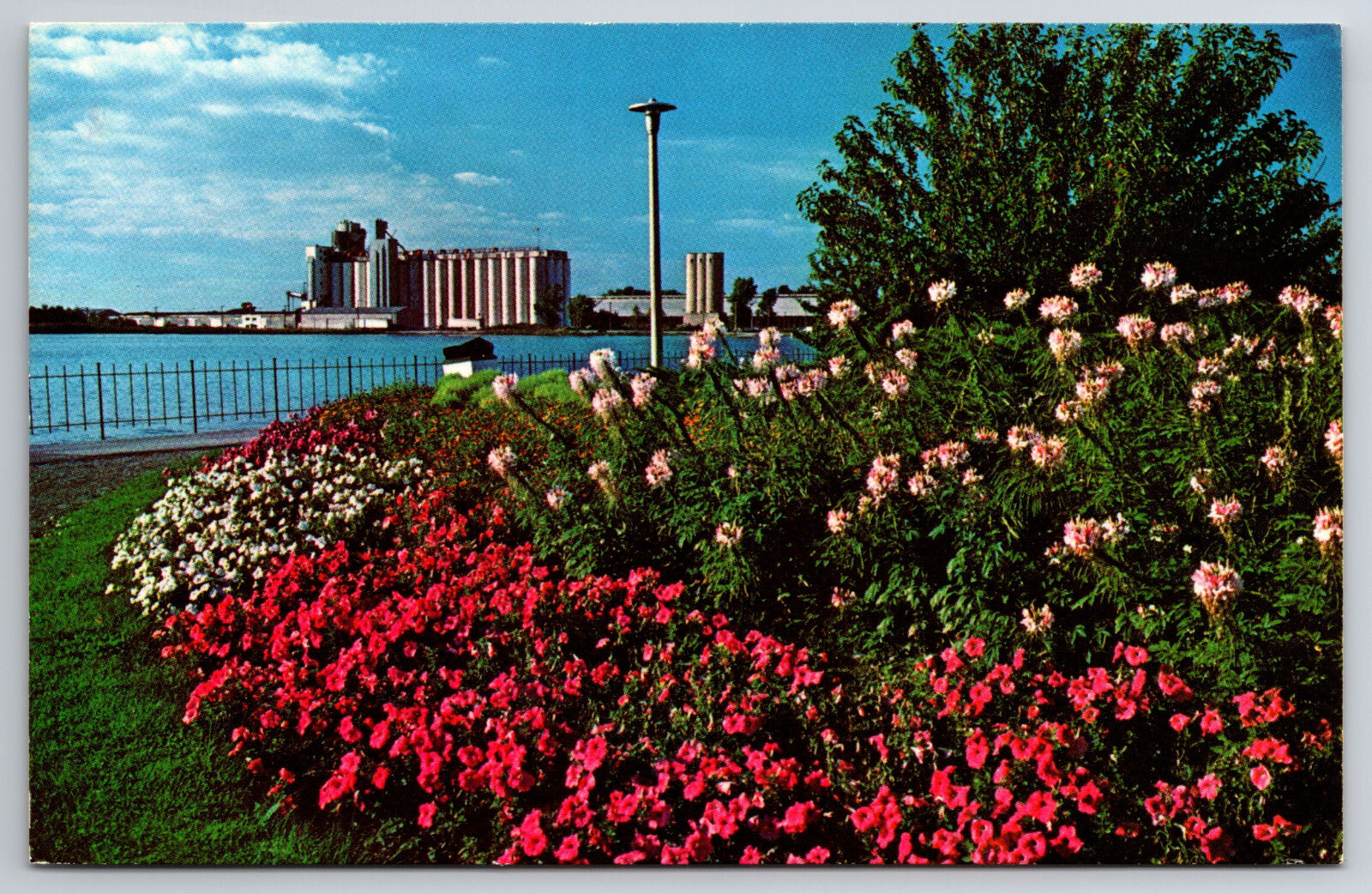 Vintage Canada Postcard Centennial Park Sarnia Ontario | eBay