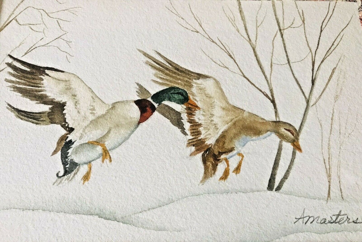 Waterfowl Landing Drawing