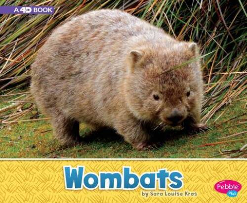 Wombats: A 4D Book (Australian Animals) - Paperback By Kras, Sara ...