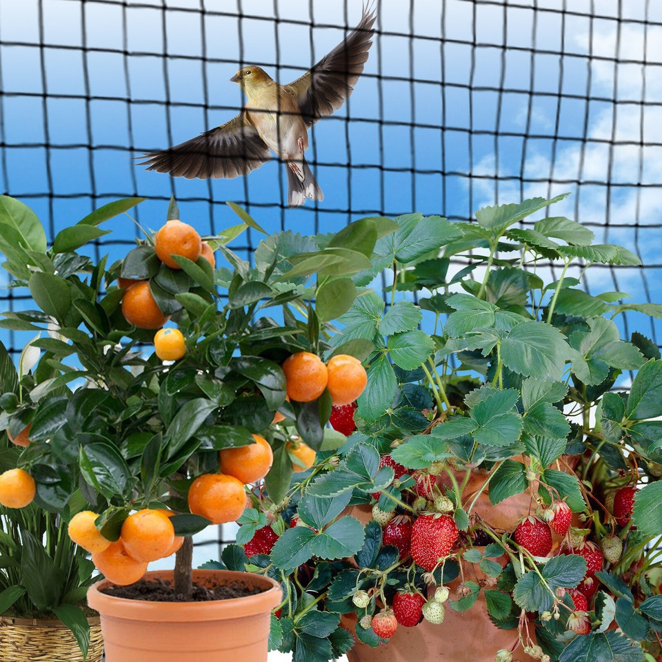 Multi-size Anti Bird Netting Bird Barrier Poultry Aviary Net Pens 2 ...