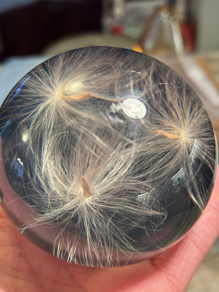 VTG Lucite Handcrafted Dandelion Paper Weight Retro 3" Canada Tarax ...