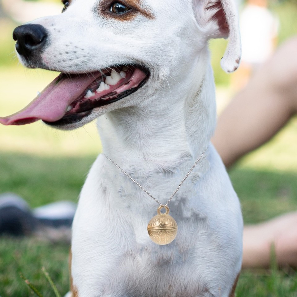 2 Pcs Copper Bell Accessory Dog Training Bells for Animals Ornament ...