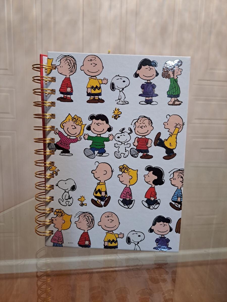 Peanuts Notebook Spiral Journal 8.25" Hardcover | eBay