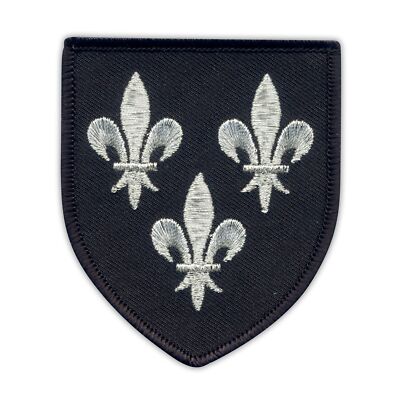 Temeria Coat of Arms - black shield Patch/Badge Embroidered | eBay