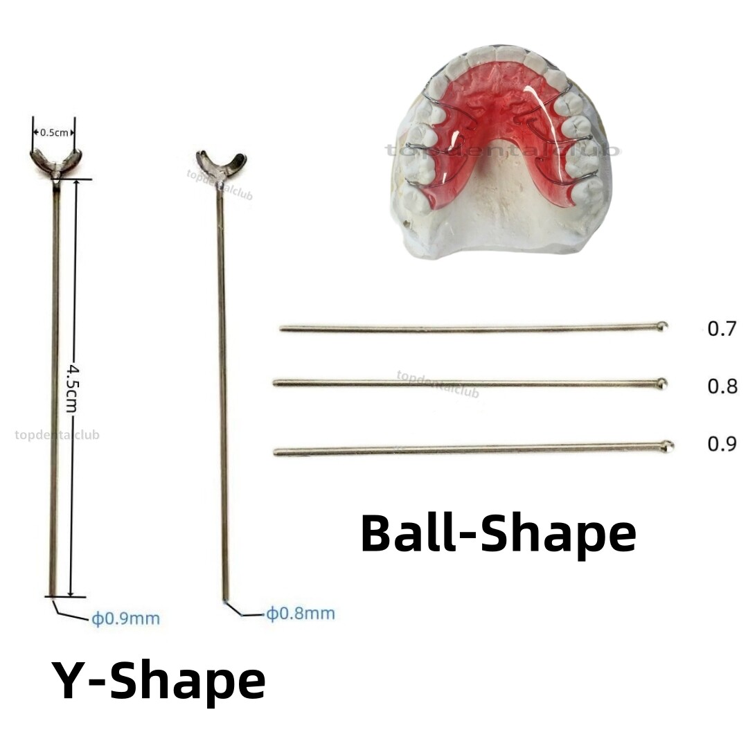 Dental Dentaurum Ball/Y-Type Retainer Clasps Orthodontic Tooth Hold ...