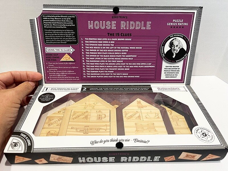 Professor Puzzle Ein2322 The Einstein Collection Einstein's House ...