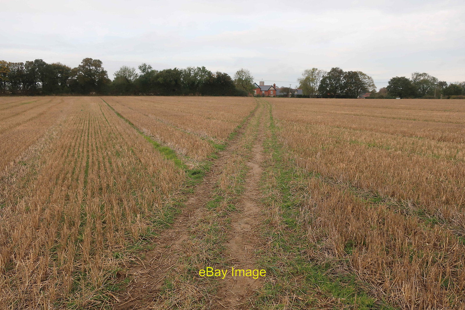 Photo 6x4 Footpath to Knapton Old Hall Street c2021 | eBay