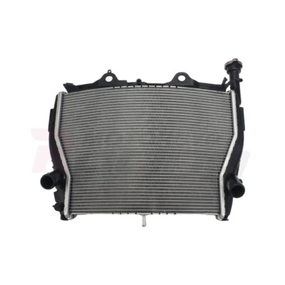Aluminum Engine Cooling Oil Radiator For BMW S1000RR 2009-2018 | eBay