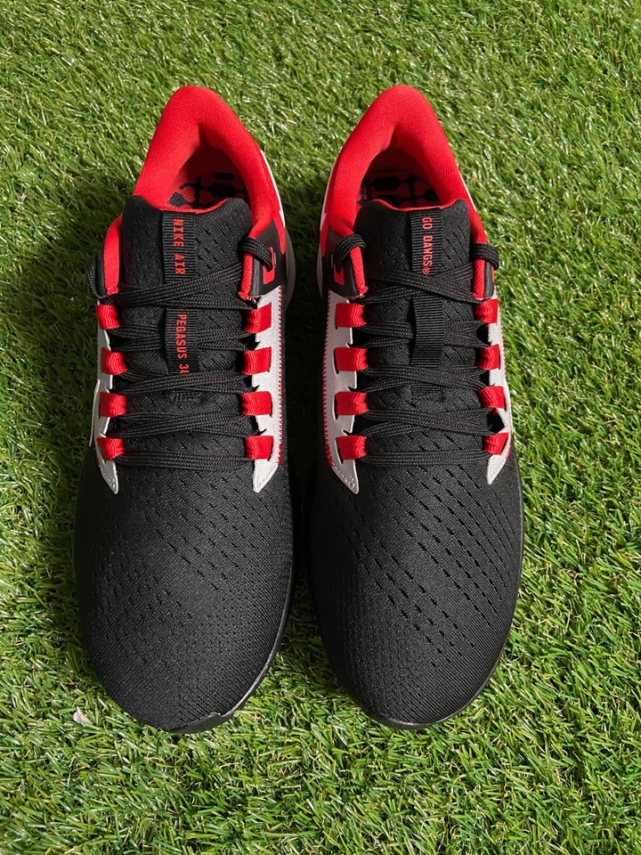 Nike Zoom Pegasus 38 Georgia Bulldogs UGA Dawgs Shoes Mens 12.5 DJ0828 ...