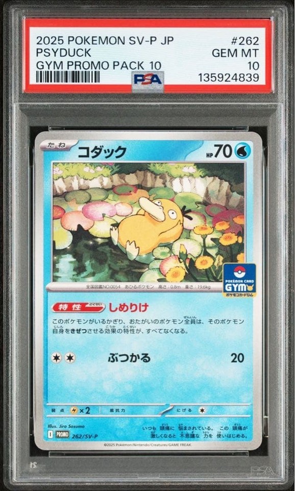 PSA 10 Psyduck Gym Promo Pokemon Card 2025 SV-P #262 Gem Mint | eBay