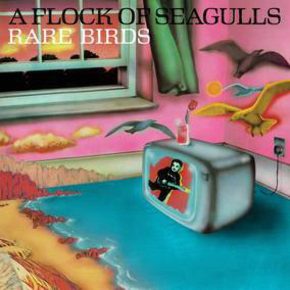 Rare Birds by A Flock Of Seagulls (Record, 2023, BMG) for sale online ...
