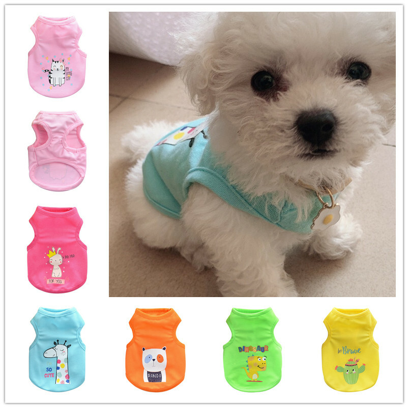 Boy Teacup Yorkie Clothes