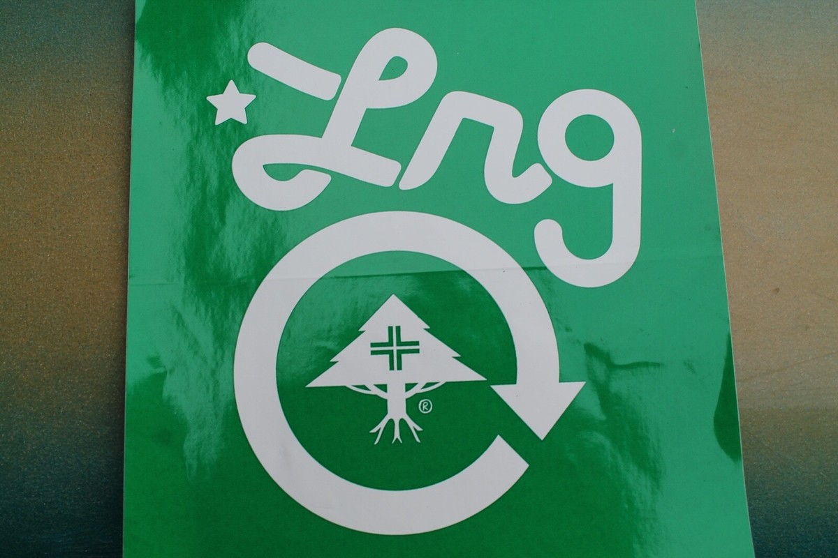 Lrg Skate Logo LRG Skate Team & Friends Lookbook – Round Two Store