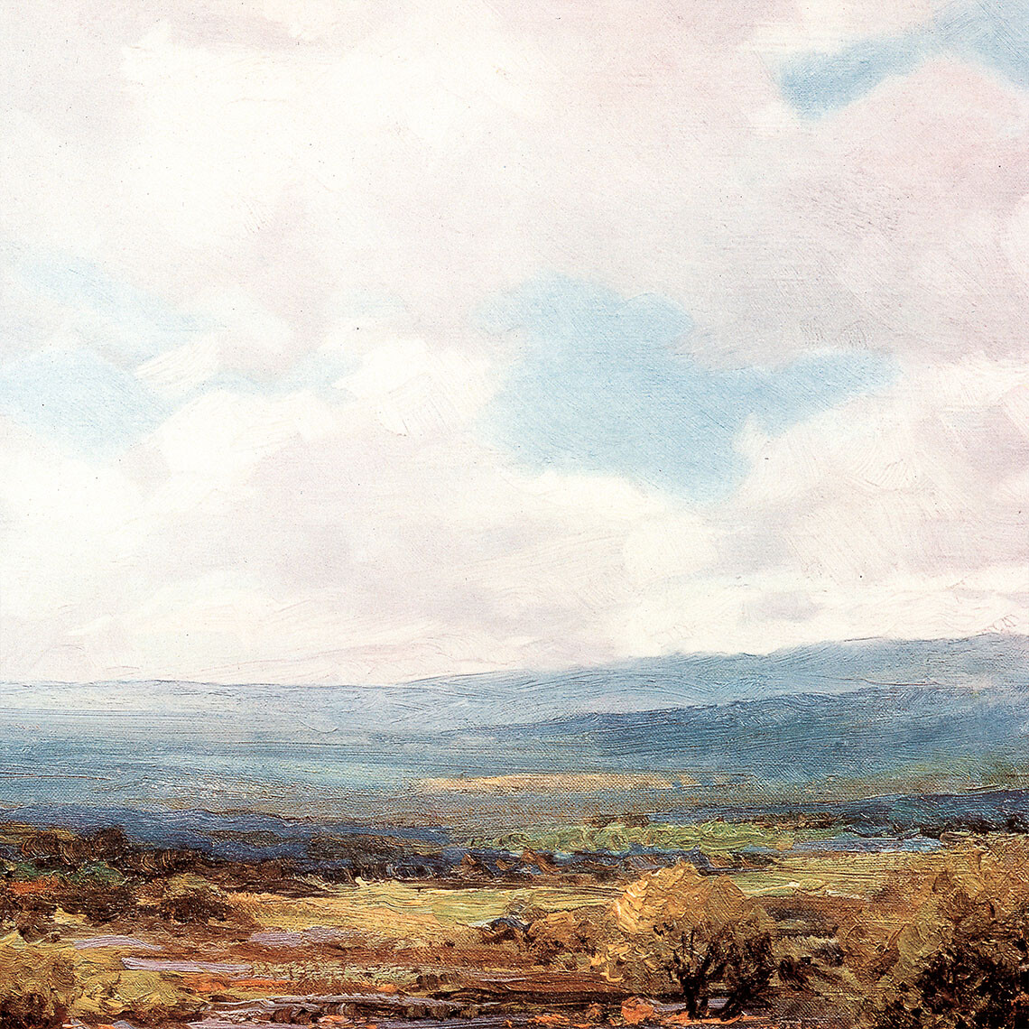 36W"x24H" TEXAS SPRING by ROBERT WOOD - DIRT ROAD OPEN FIELDS HORIZON ...