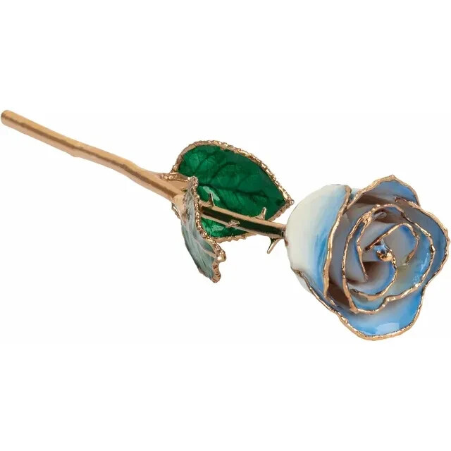 Real Lacquered Cream BLUE Long Stem Rose w/ Gold Plated Trim FREE Gold ...