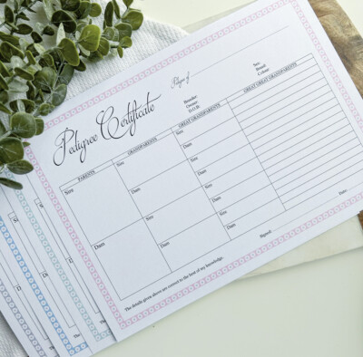 X10 Fancy Dog/Cat Pedigree Certificates Breeder Forms 3 or 4 Generation ...