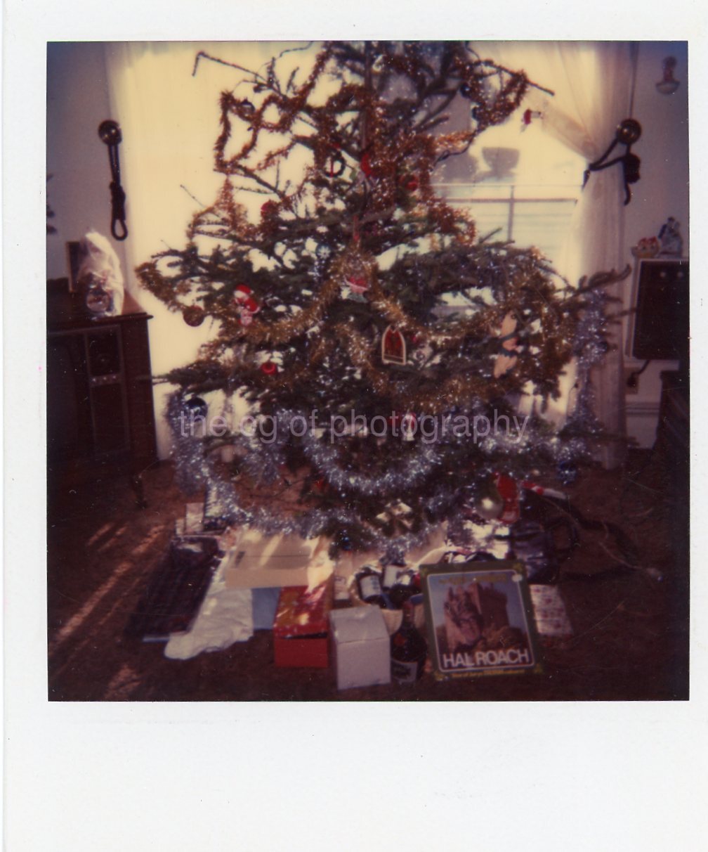 WACKY CHRISTMAS TREE Vintage POLAROID Found Original Photograph COLOR ...