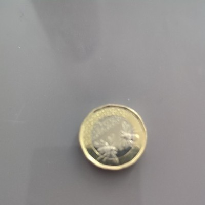 Rare Defect £1 Coin. Error On Legs Of Bee | eBay UK