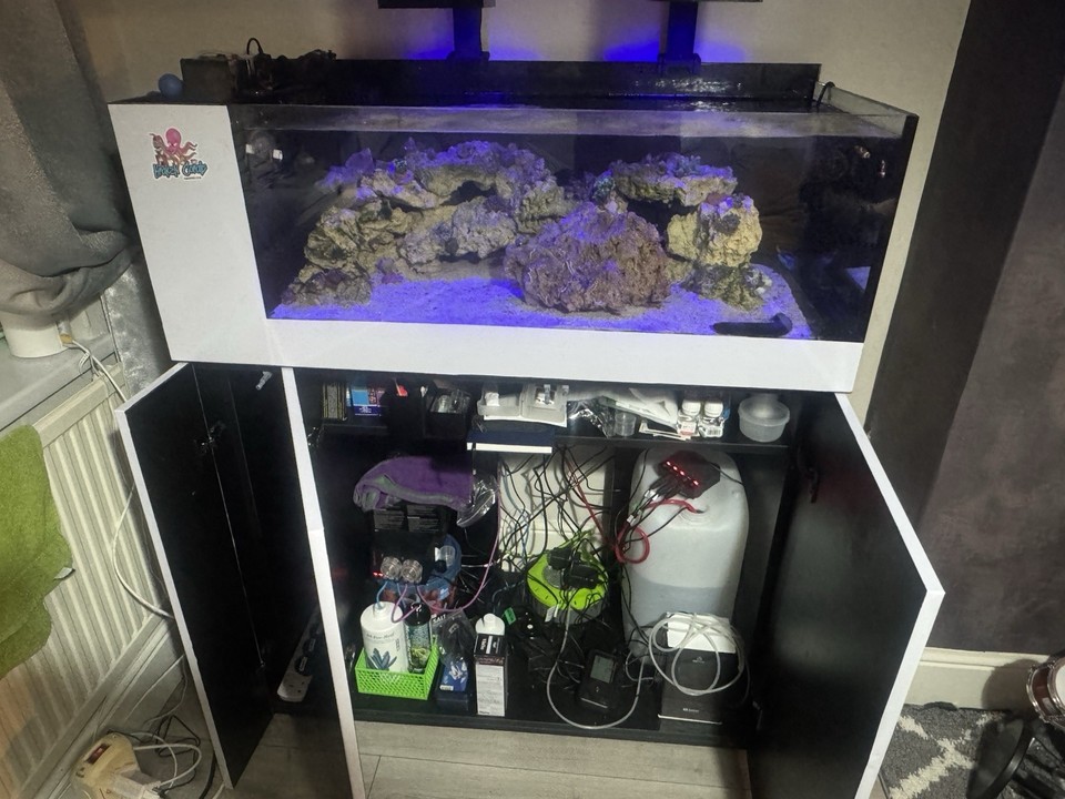 Mbm Custom Shallow Reef Tank 150l Built In Sump | eBay UK