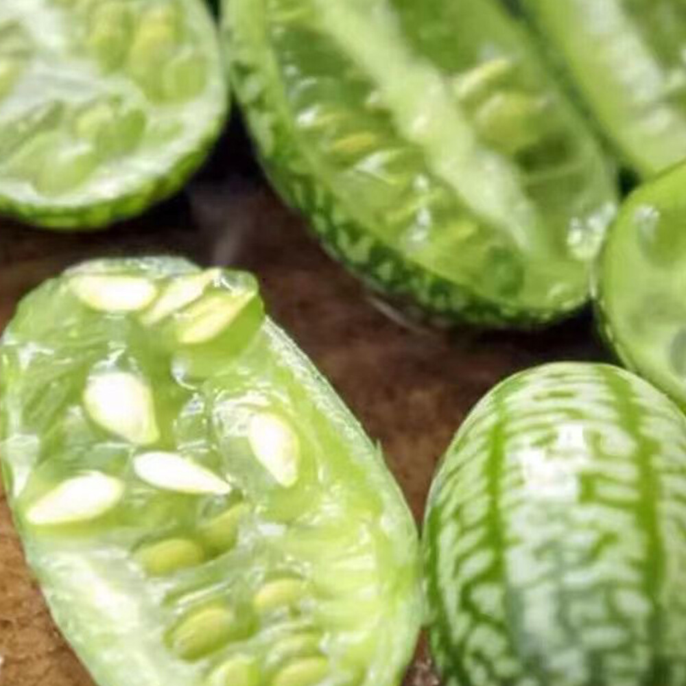 50pcs/bag Mini Thumb Watermelon Seeds Pulp Watermelon Organic Seeds ...