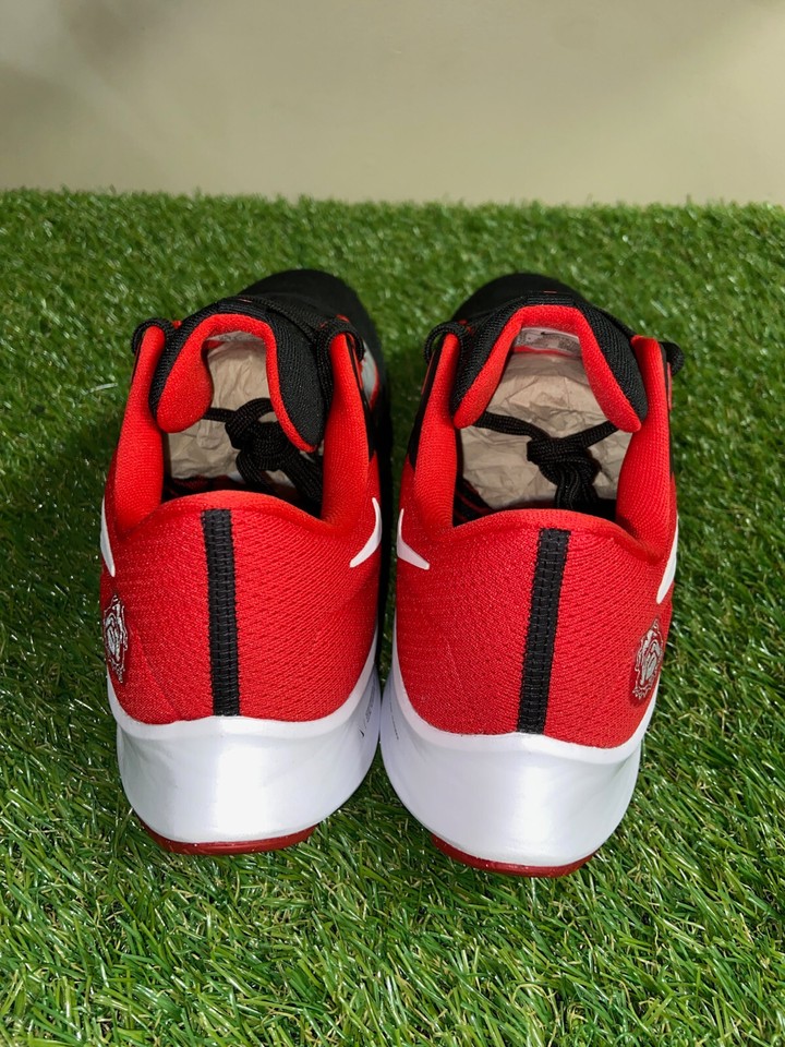 Nike Zoom Pegasus 38 Georgia Bulldogs UGA Dawgs Shoes Mens 12.5 DJ0828 ...