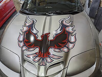 Pontiac Firebird Trans Am Year One Bandit Vinyl Sticker Decal Car ...